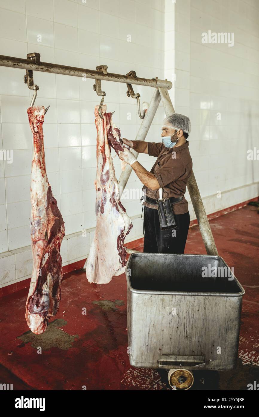 Butcher cuts meat slaughterhouse hi-res stock photography and images ...