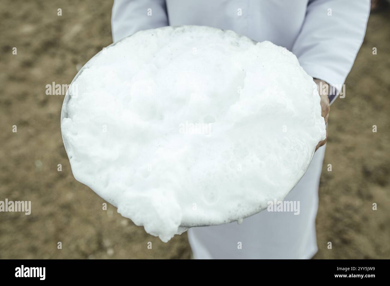 Camel milk from a dromedary cow (Camelus dromedarius), Dhofar, Oman ...