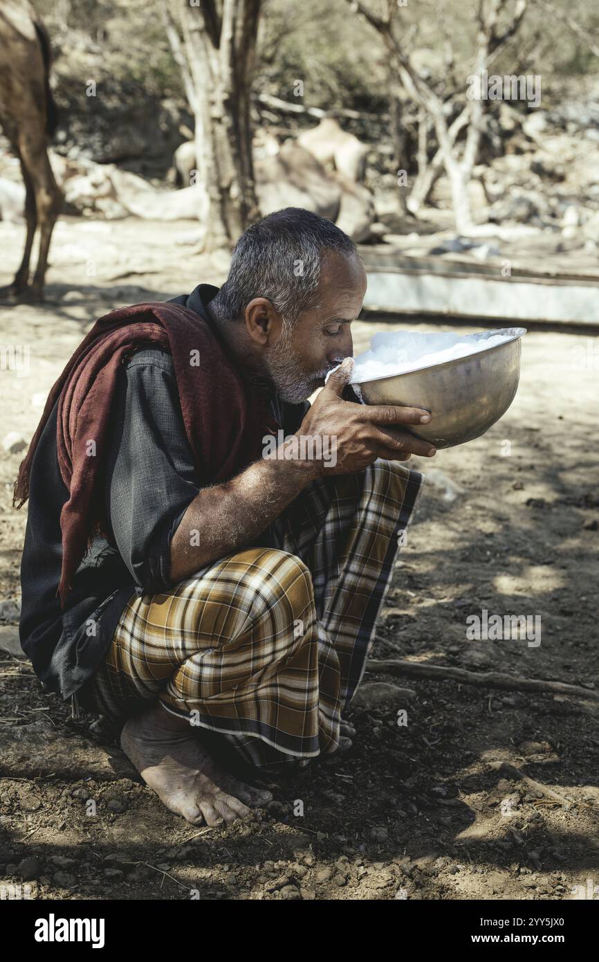 Ali drinking milk after milking one of his camels (camelus dromedarius ...