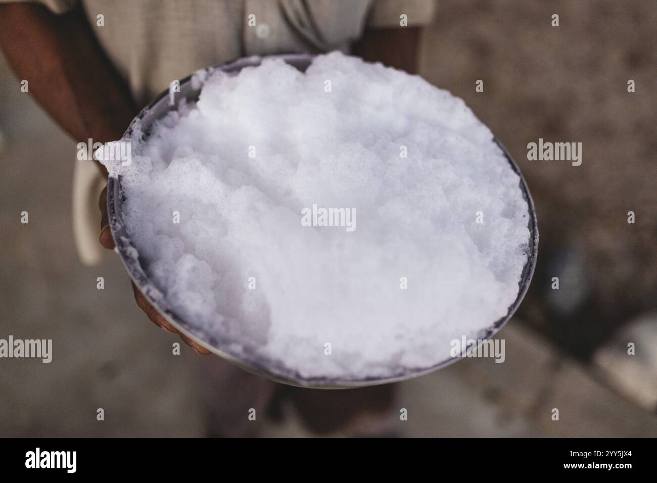 Camel milk from a dromedary cow (Camelus dromedarius), Dhofar, Oman ...