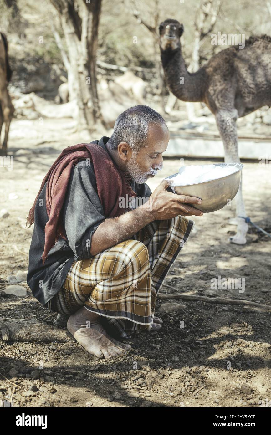 Ali drinking milk after milking one of his camels (camelus dromedarius ...