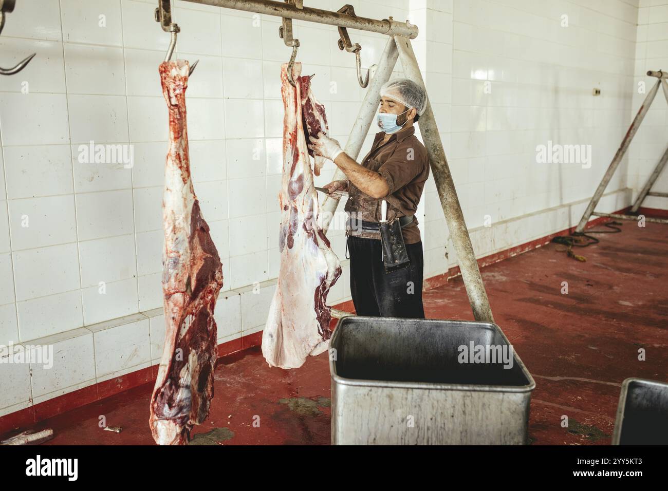Butcher meat slaughterhouse cutting hi-res stock photography and images ...