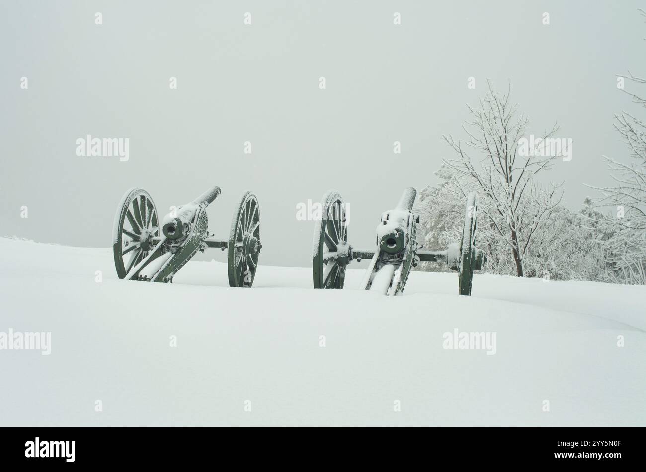 An old metal cannon. The cannon participated in the battles of ...