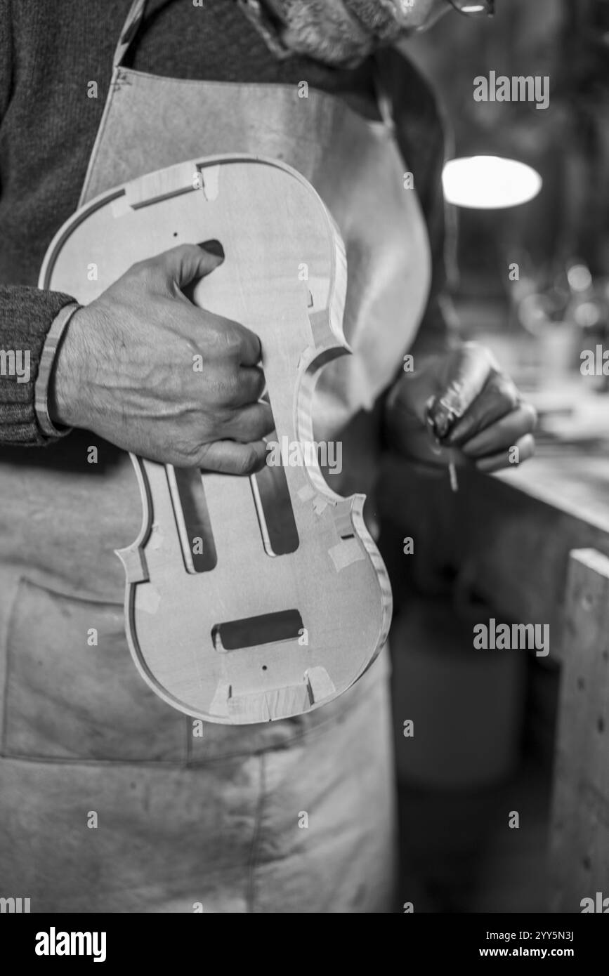Italian violin maker is holding and crafting a violin in his workshop ...