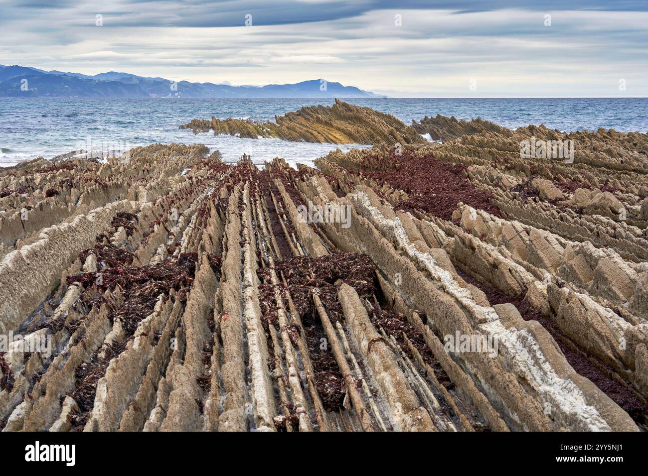 Famous flysch rocks of the Atlantic in Basque country, Spain Stock ...