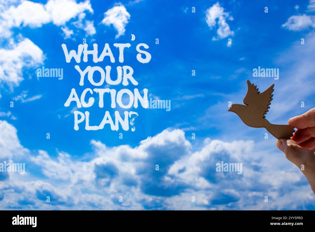 Action plan symbol. Concept words What is your action plan. Beautiful ...