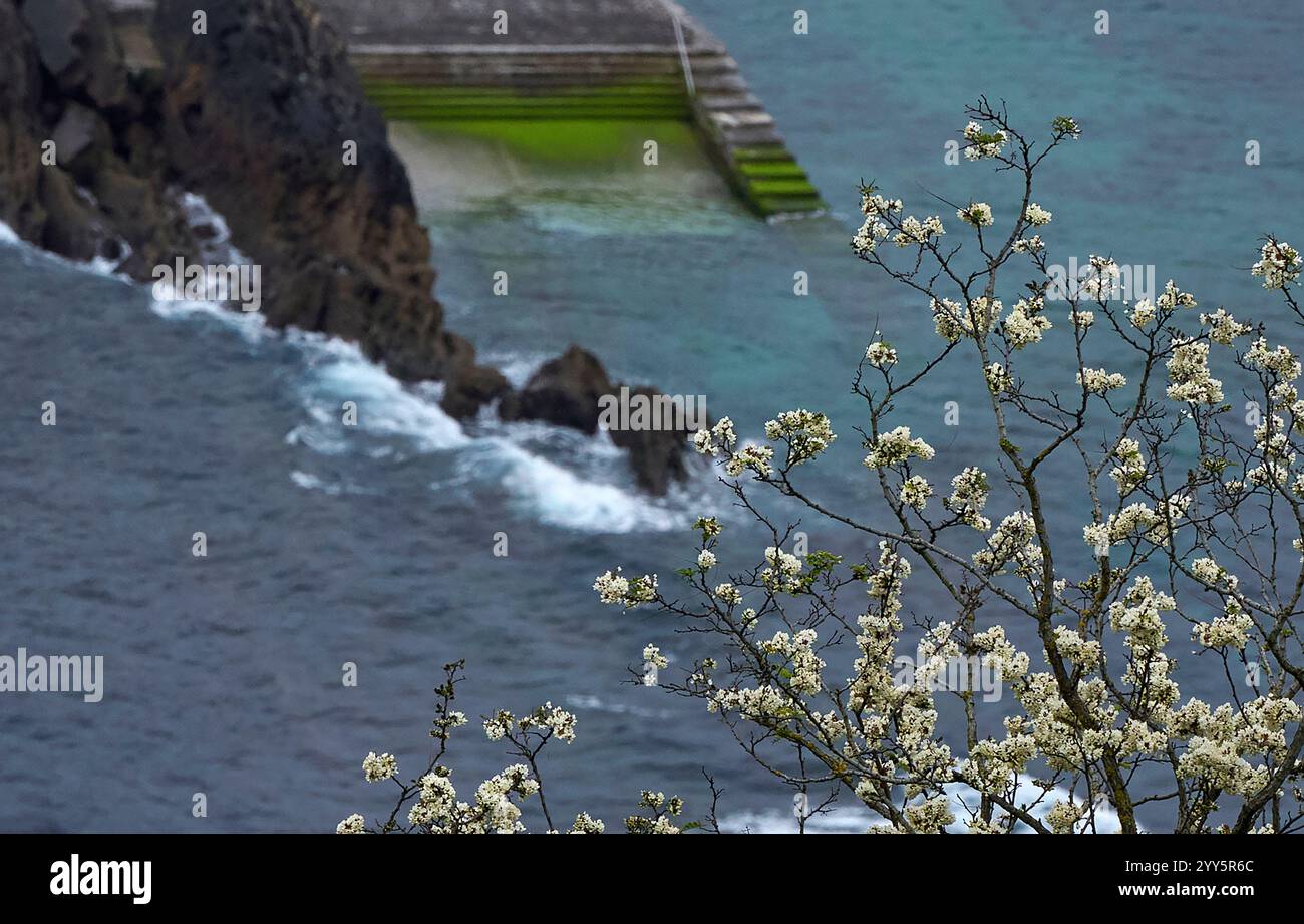 Famous flysch rocks of the Atlantic in Basque country, Spain Stock ...