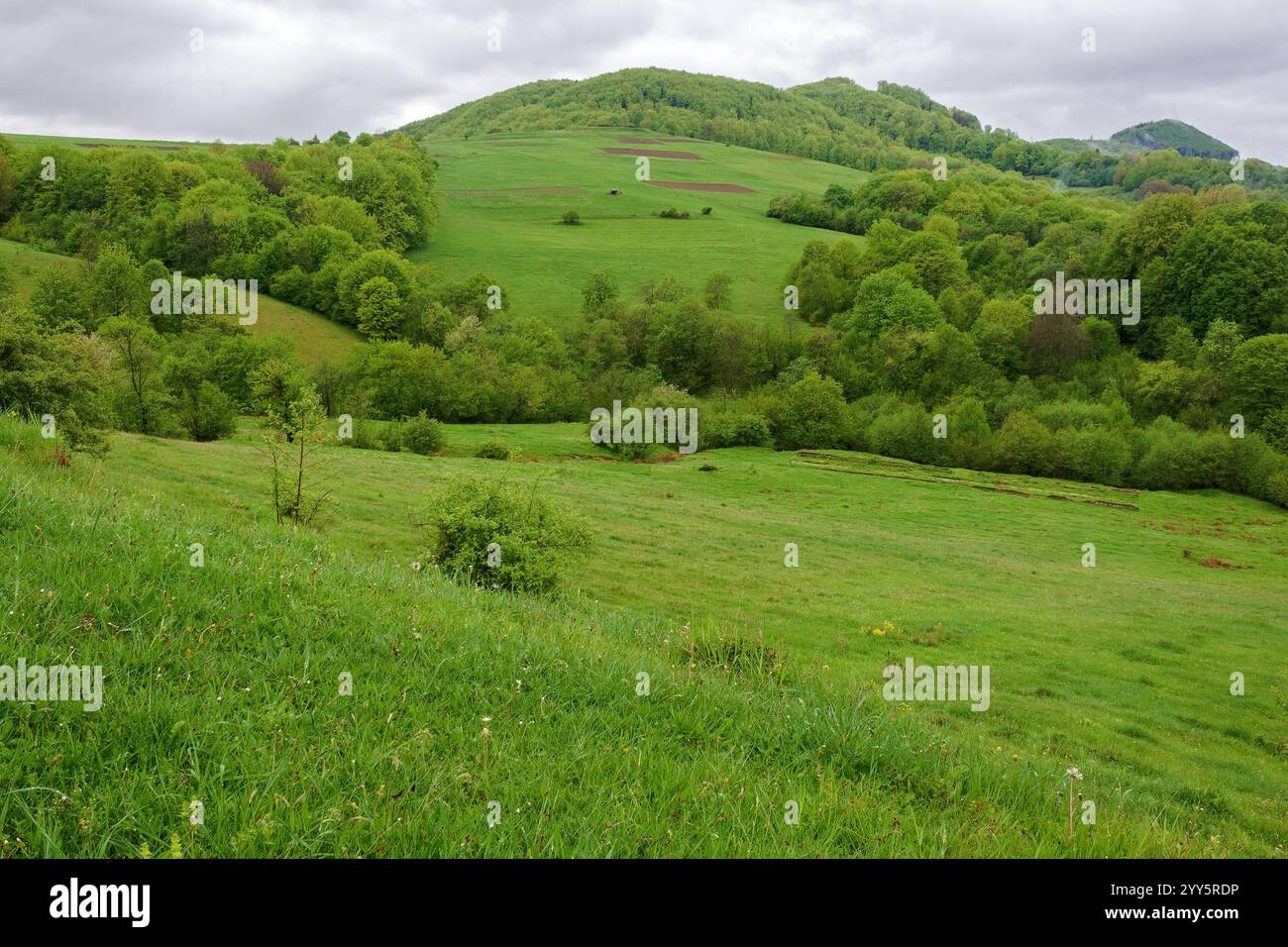 mountainous countryside in spring. scenic farmland. cloudy weather. wet ...