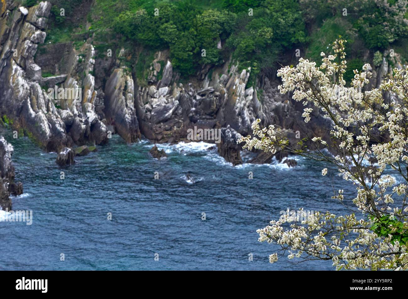 Famous flysch rocks of the Atlantic in Basque country, Spain Stock ...