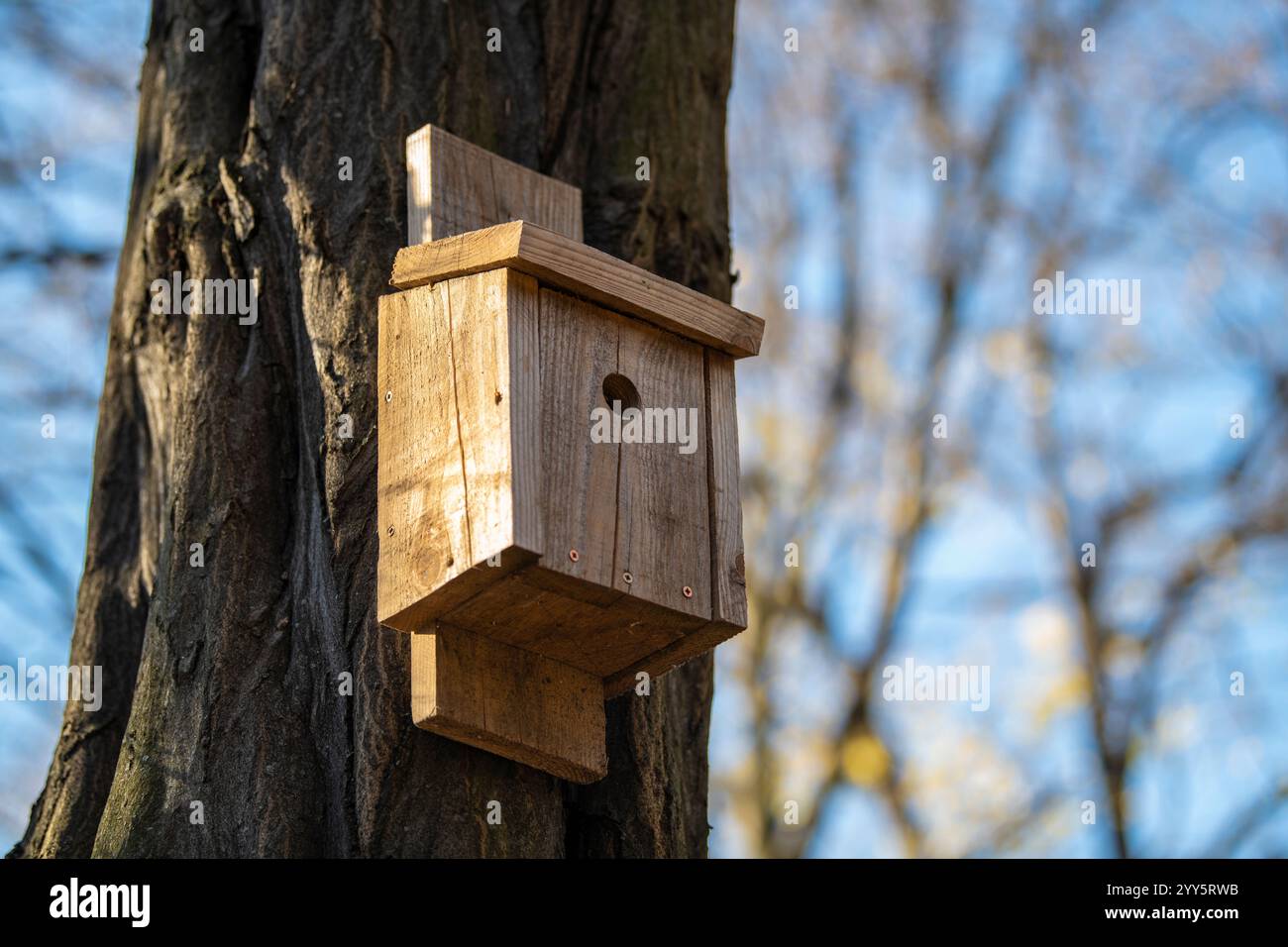 Wooden bird house hanging from the tree in forest park, with the circle ...