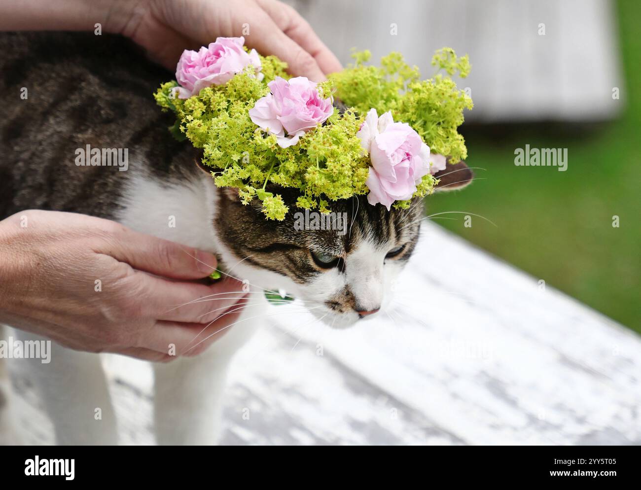 Krans midsummer hi-res stock photography and images - Alamy