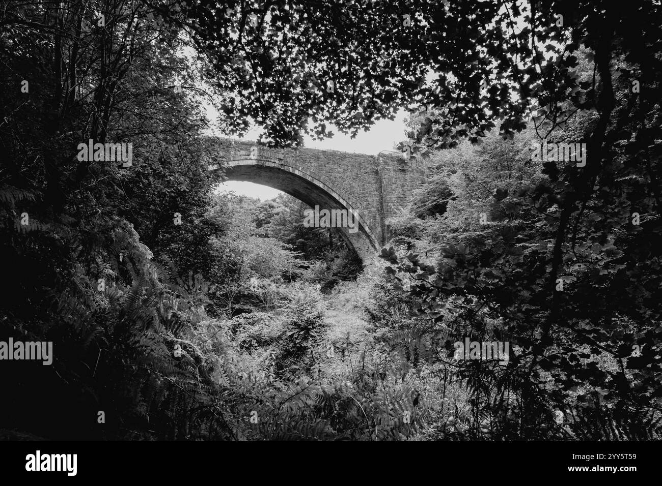 Stanley bridge view Black and White Stock Photos & Images - Alamy
