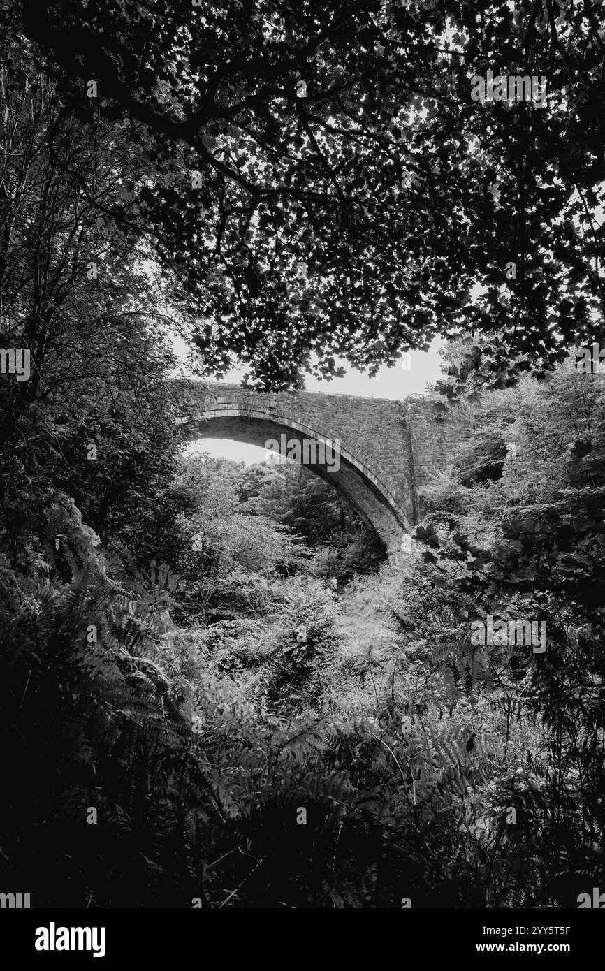 Durham England: 6th Sept 2024: The Causey Arch. A large stone arch ...