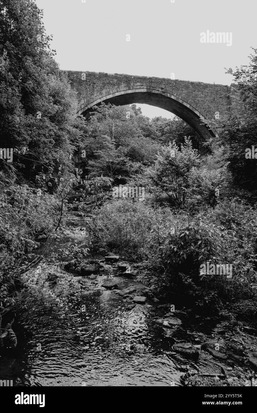 Durham England: 6th Sept 2024: The Causey Arch. A large stone arch ...
