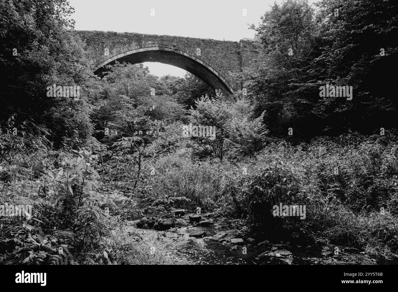 Durham England: 6th Sept 2024: The Causey Arch. A large stone arch ...