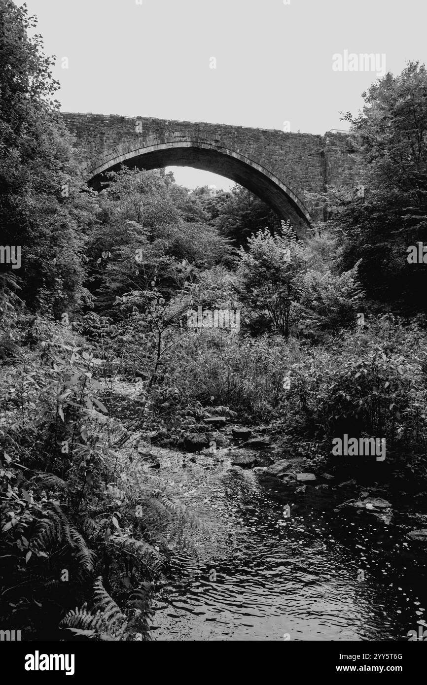 Durham England: 6th Sept 2024: The Causey Arch. A large stone arch ...