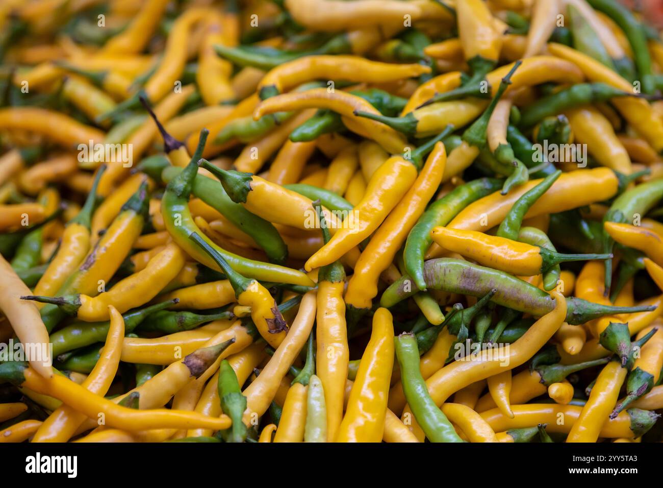 Harvested lot big organic hi-res stock photography and images - Alamy