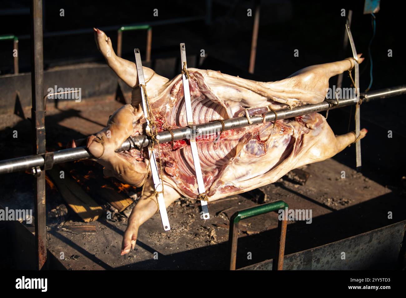 A young suckling lamb (sheep) and pig on skewer. Whole roasted pig and ...