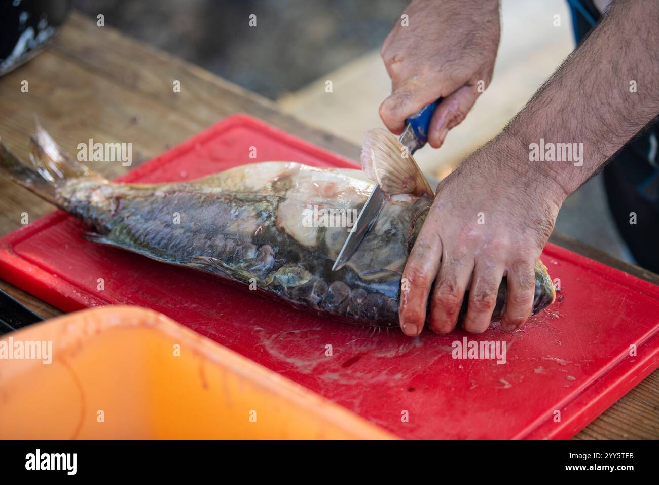 Man cleaning fresh fish on a wooden table with a sharp knife. Fish has ...