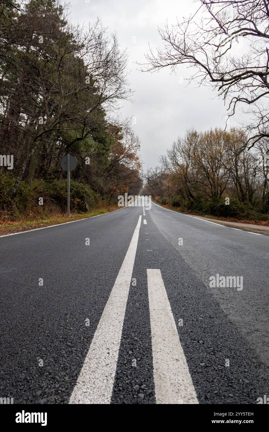 Highway to infinity. a straight asphalt in a forest on a cloudy winter ...