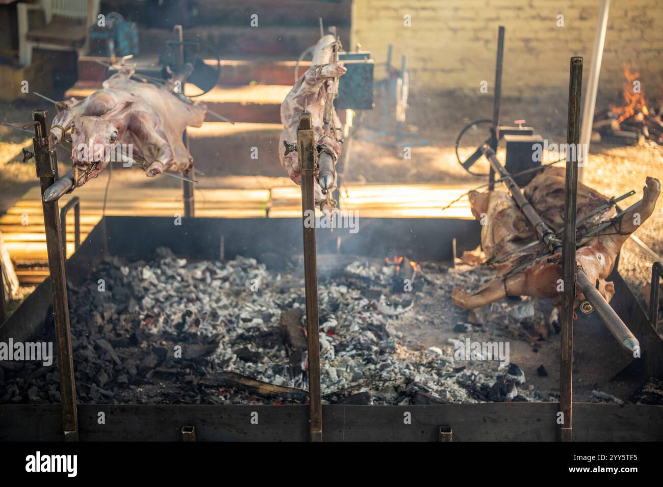 A young suckling lamb (sheep) and pig on skewer. Whole roasted pig and ...