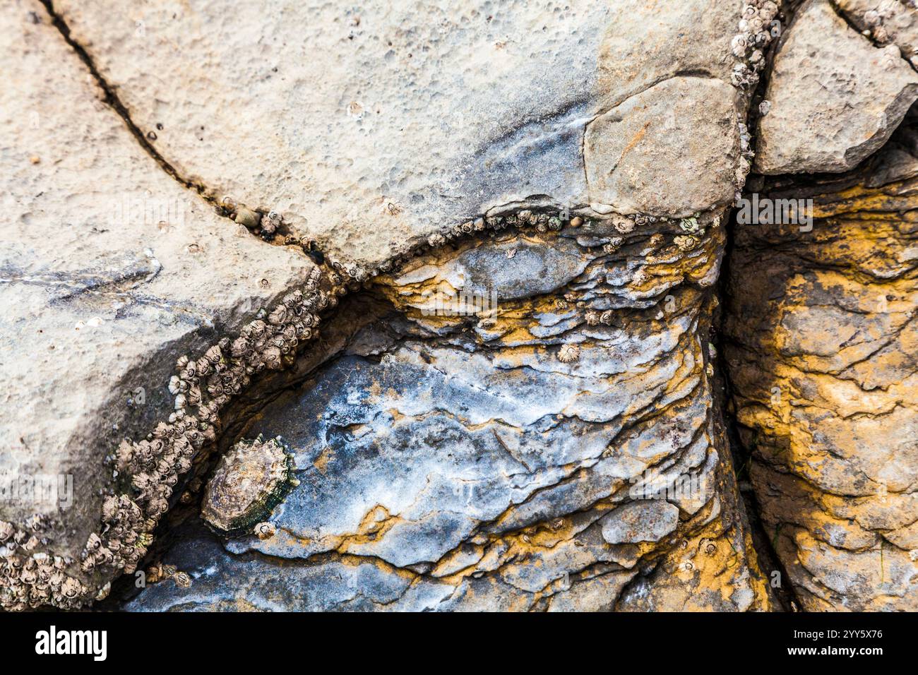 An abstract image of rock strata forming patterns in the cliff face at ...