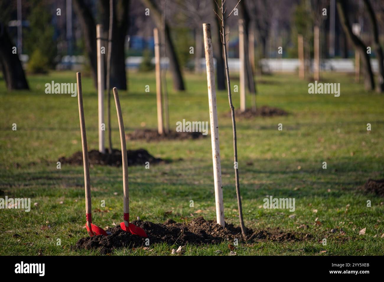 Newly growing leaf hi-res stock photography and images - Alamy