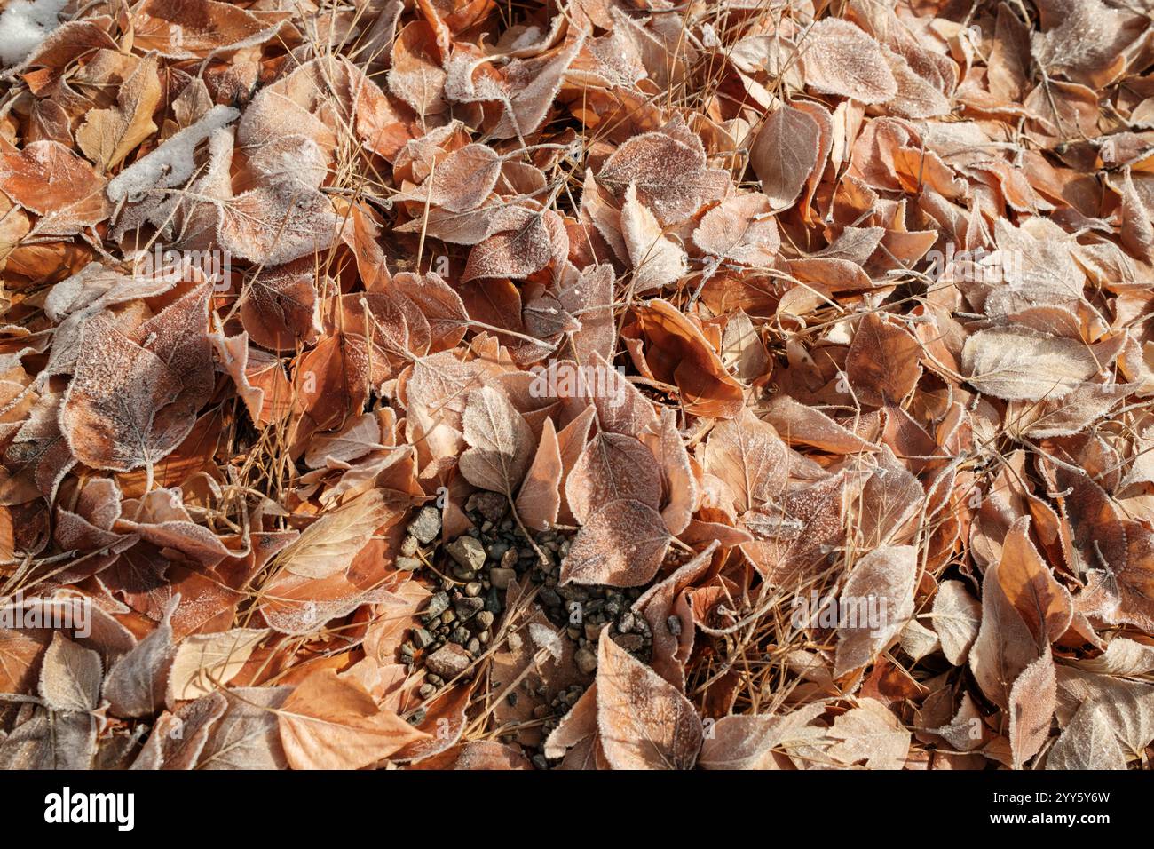 Random things along the road Stock Photo - Alamy