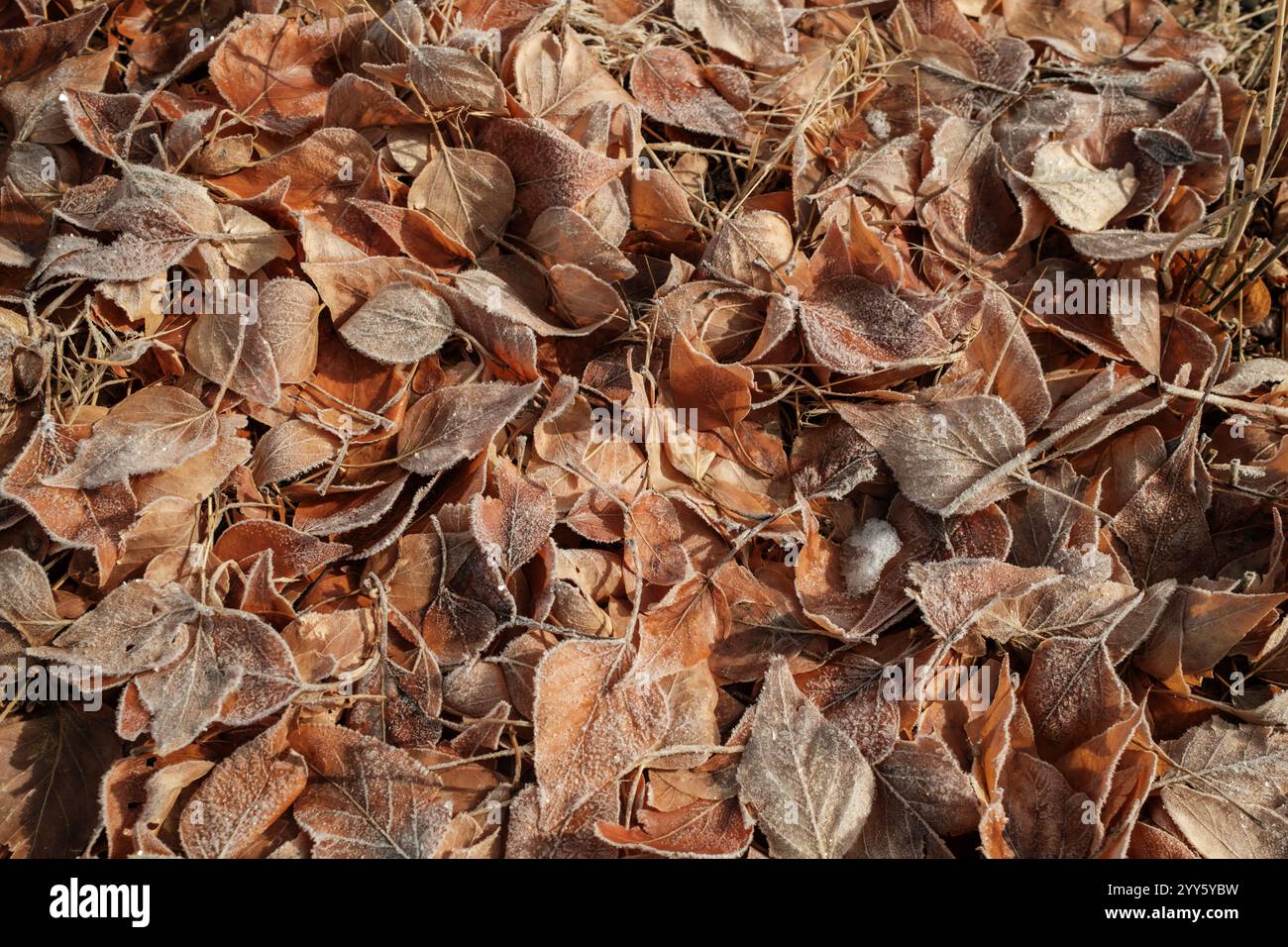 Random things along the road Stock Photo - Alamy