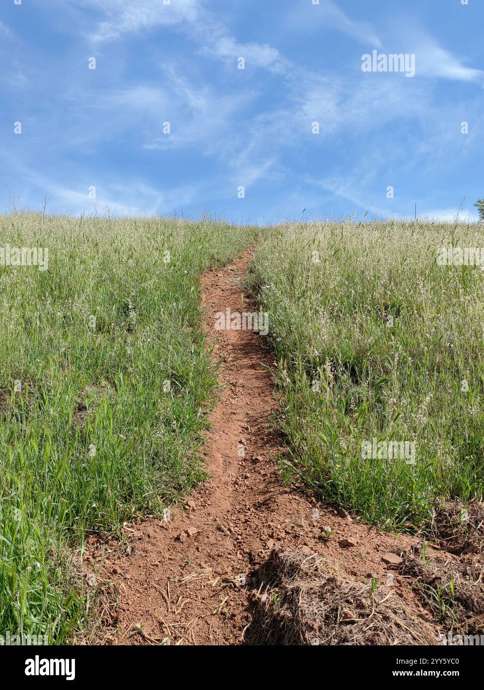 Journey to the Infinite. A Dirt Road Under a Cloudy Sky. Long way to go ...