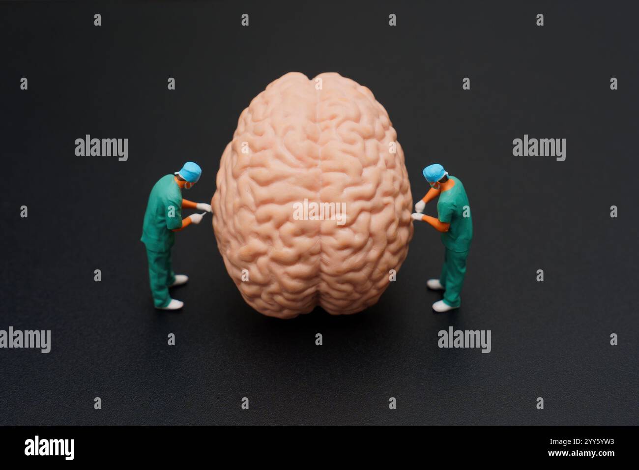 Realistic model of a human brain is examined by two miniature surgeon ...