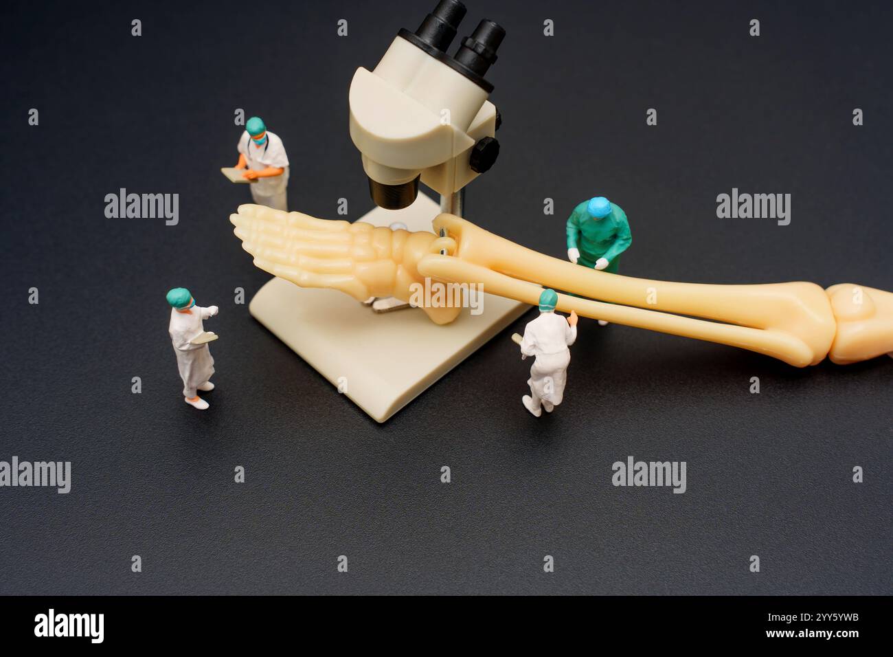 Human foot skeleton model positioned under a microscope with miniature ...