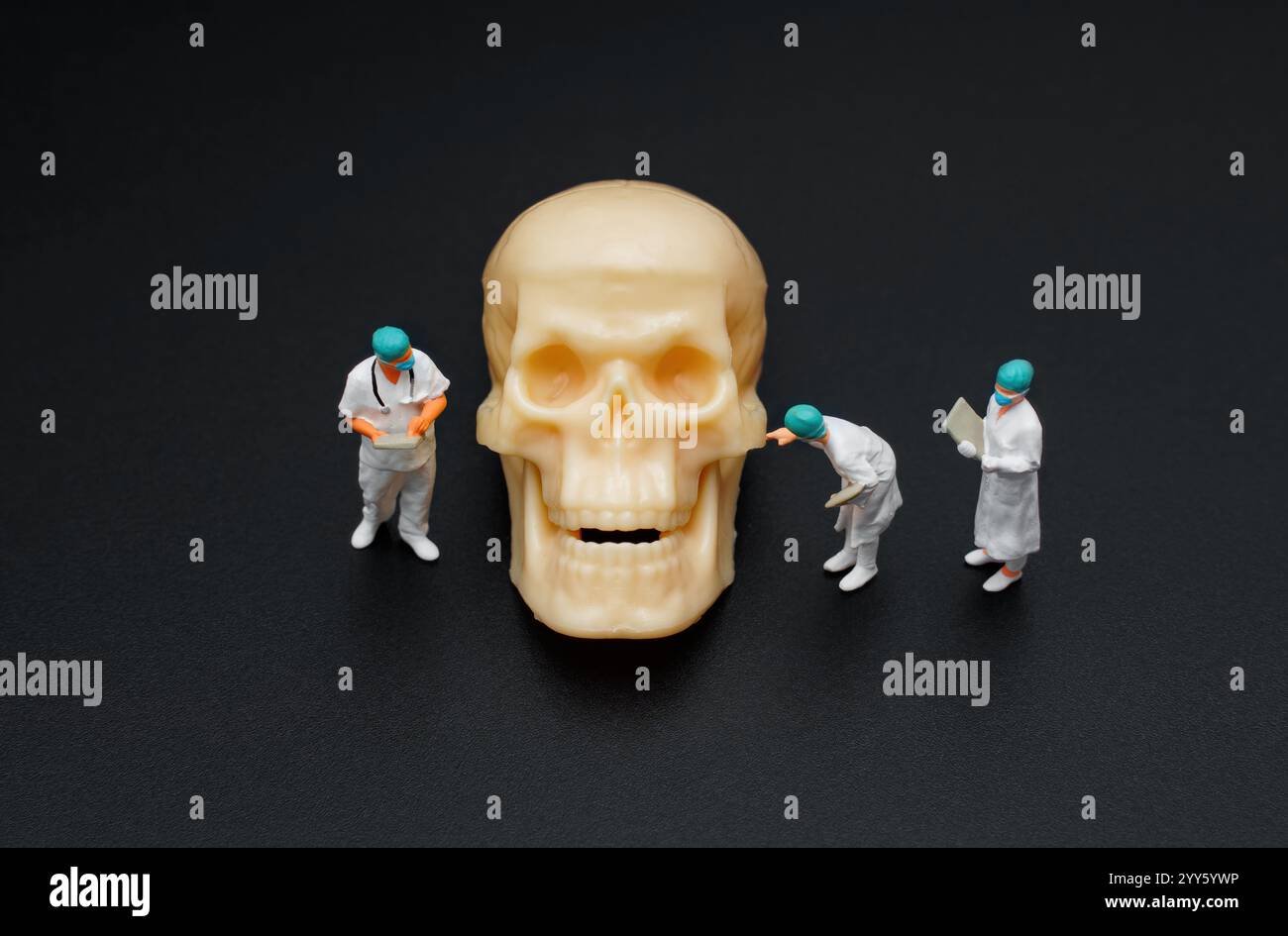 Realistic skull model with miniature surgeon figurines examining and ...