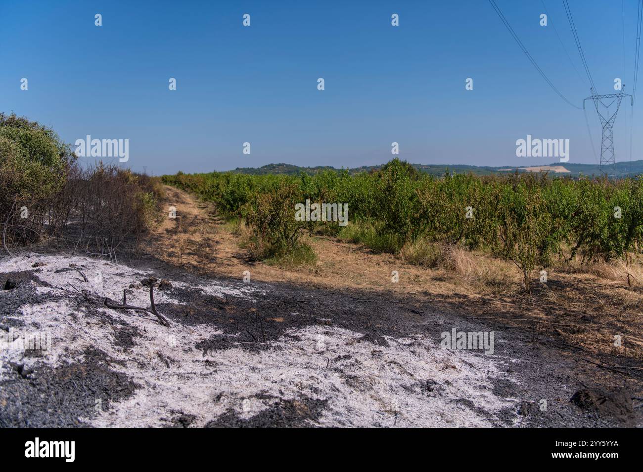 Fire caused by electric hi-res stock photography and images - Alamy