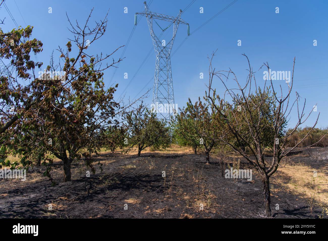 Fire in wilderness electric hi-res stock photography and images - Alamy