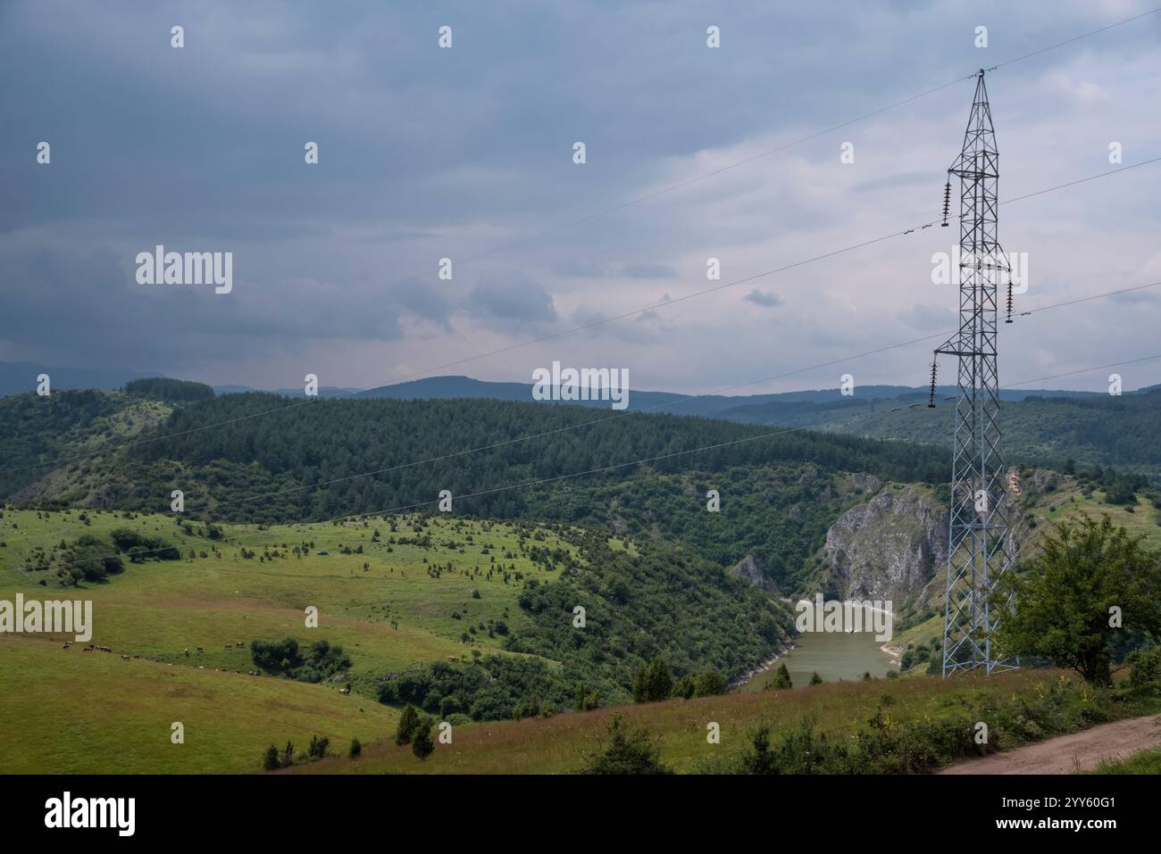 High voltage transmission lines and towers runing trough green lawn and ...