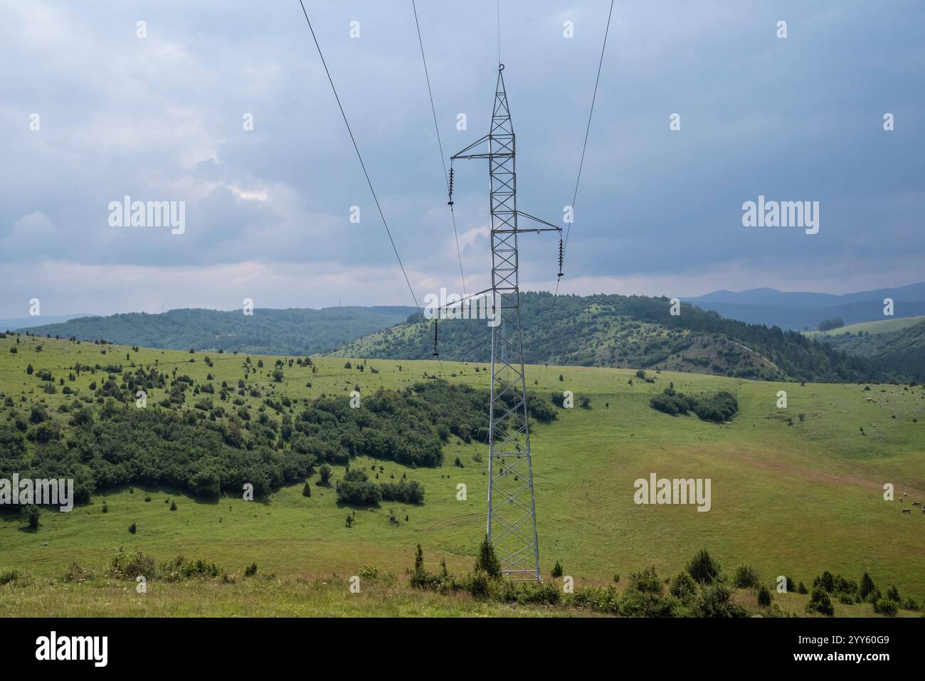 High voltage transmission lines and towers runing trough green lawn and ...