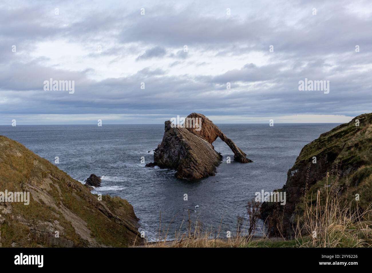 50 feet tall hi-res stock photography and images - Alamy