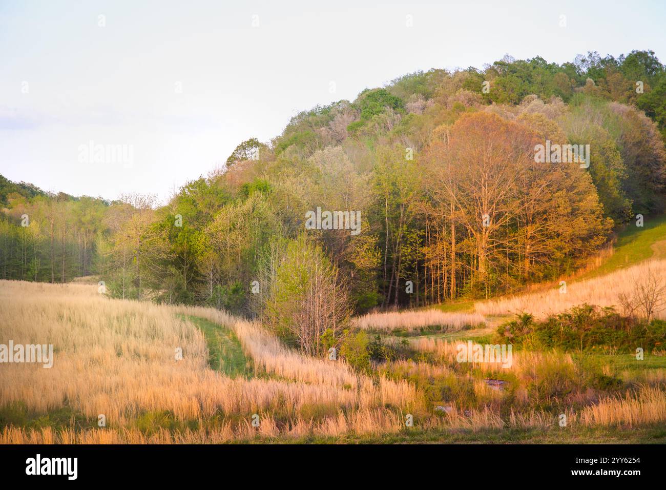 Undeveloped field hi-res stock photography and images - Alamy