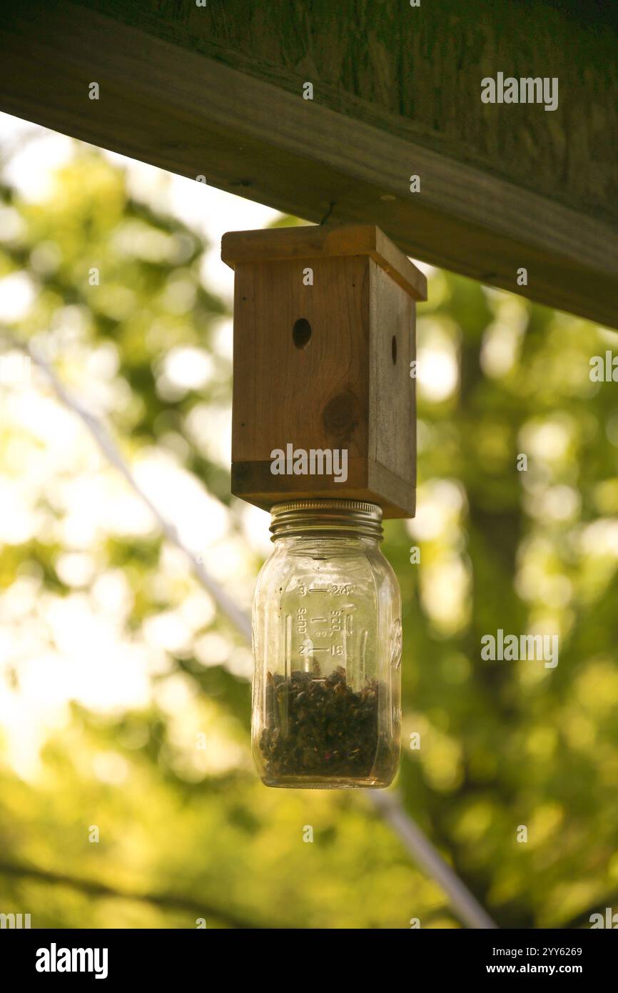 Mosquios hi-res stock photography and images - Alamy