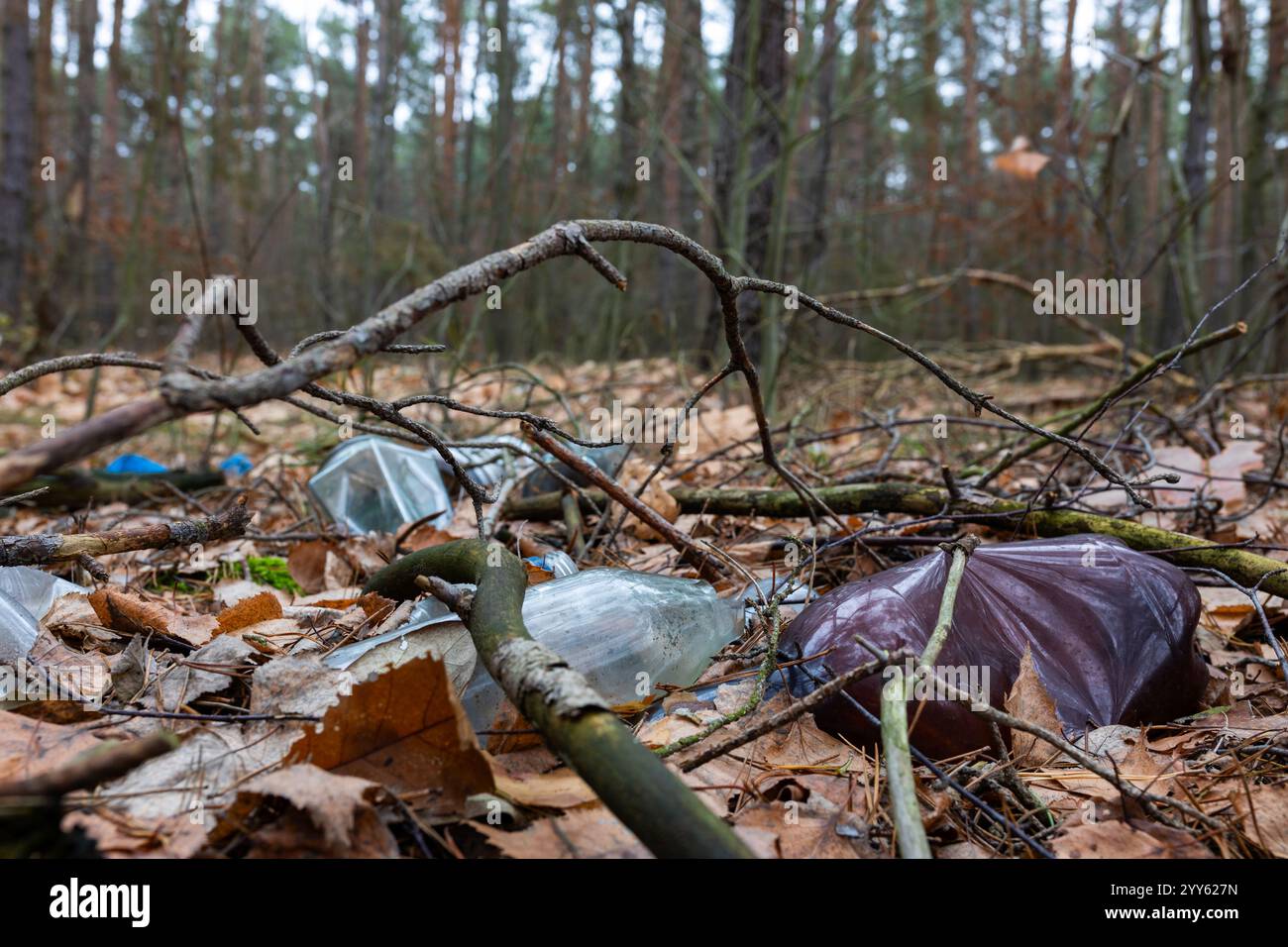 Garbage thrown away in the forest. Human irresponsibility. Human ...