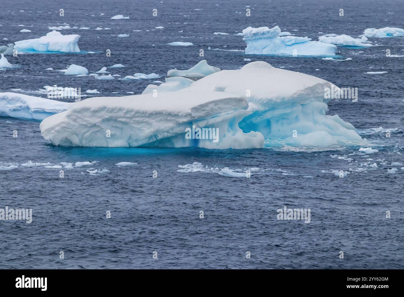 Small iceberg in the Drake passage, near the Antarctic peninsula. Surrounded by smaller pieces ...