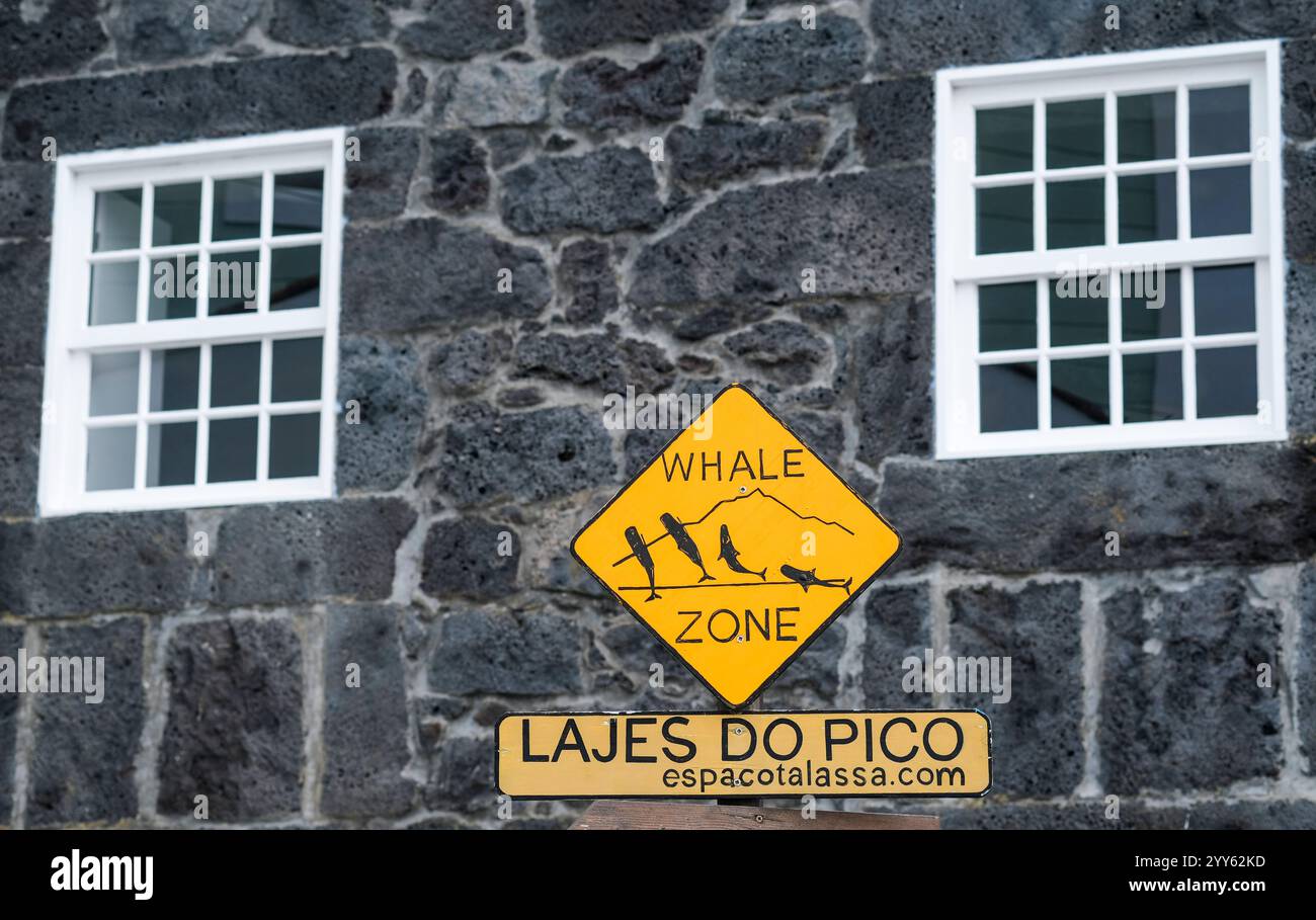 PRODUCTION - 27 September 2024, Portugal, Lajes Do Pico: Whale watching ...