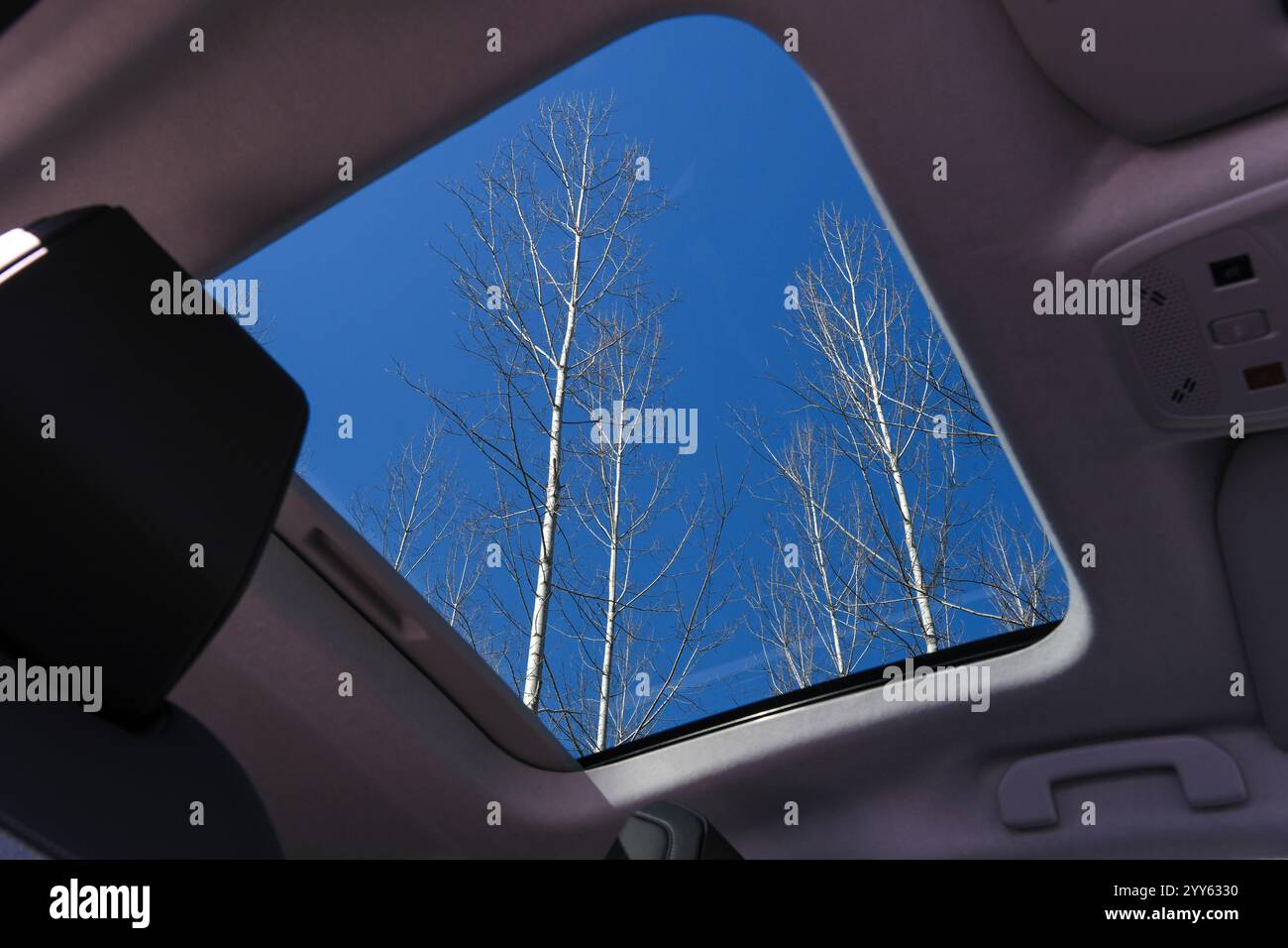 Blue sky and forest trees trough and open car sunroof. Closeup. Open ...