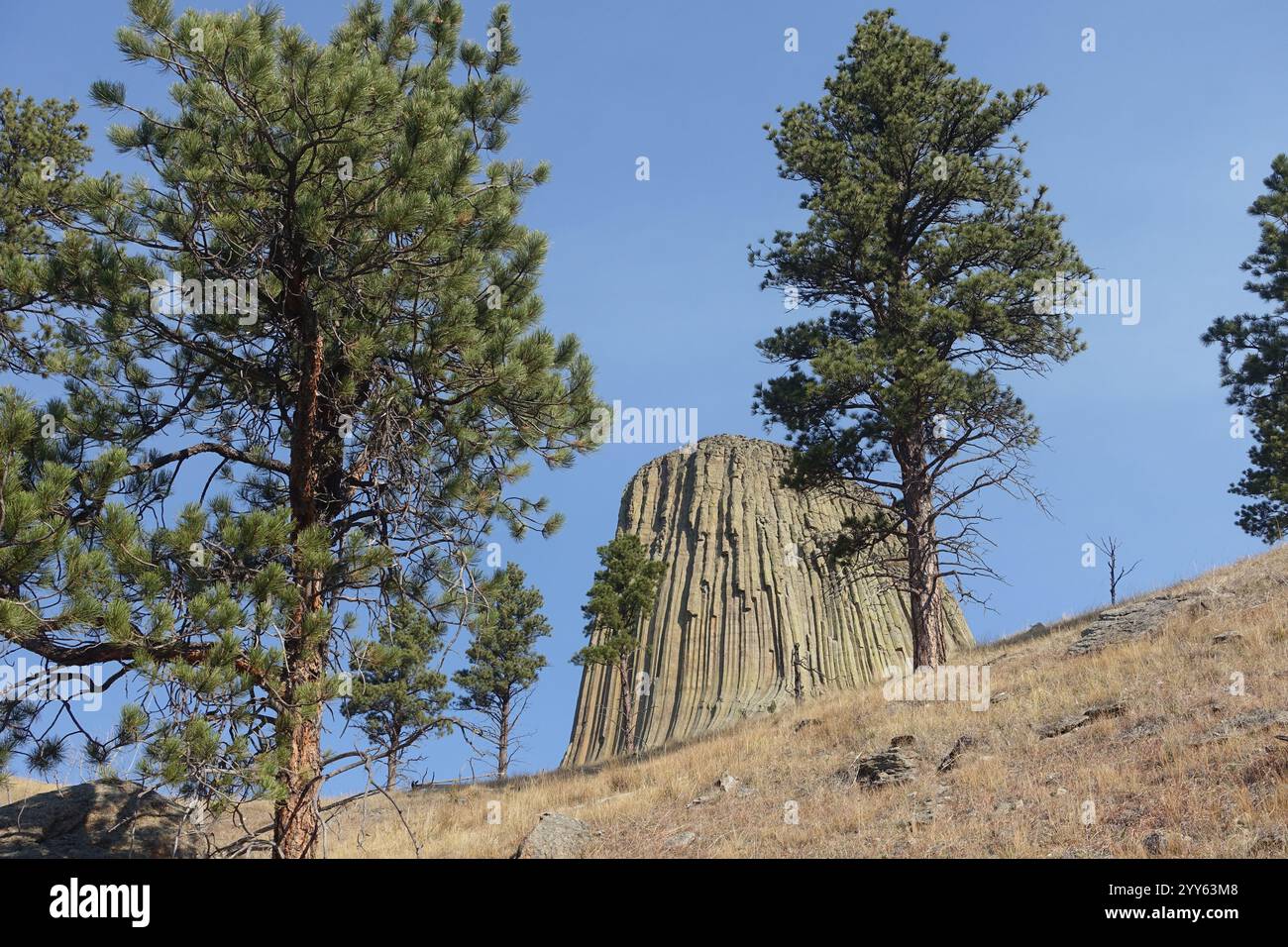 Devil's Tower as scene in Close Encounters Stock Photo - Alamy