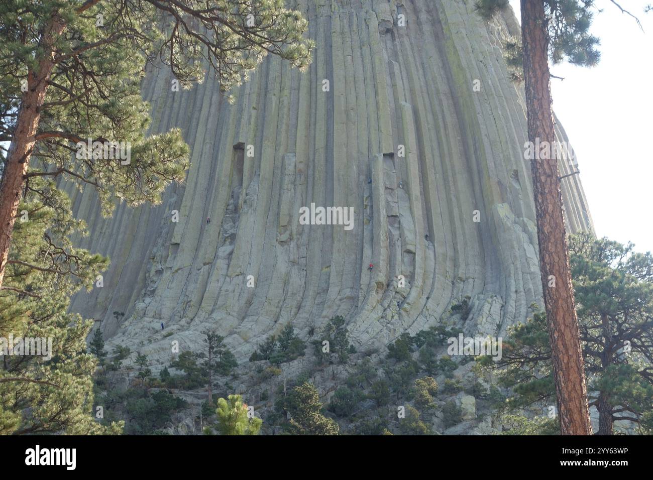 Devil's Tower National Monument Stock Photo - Alamy