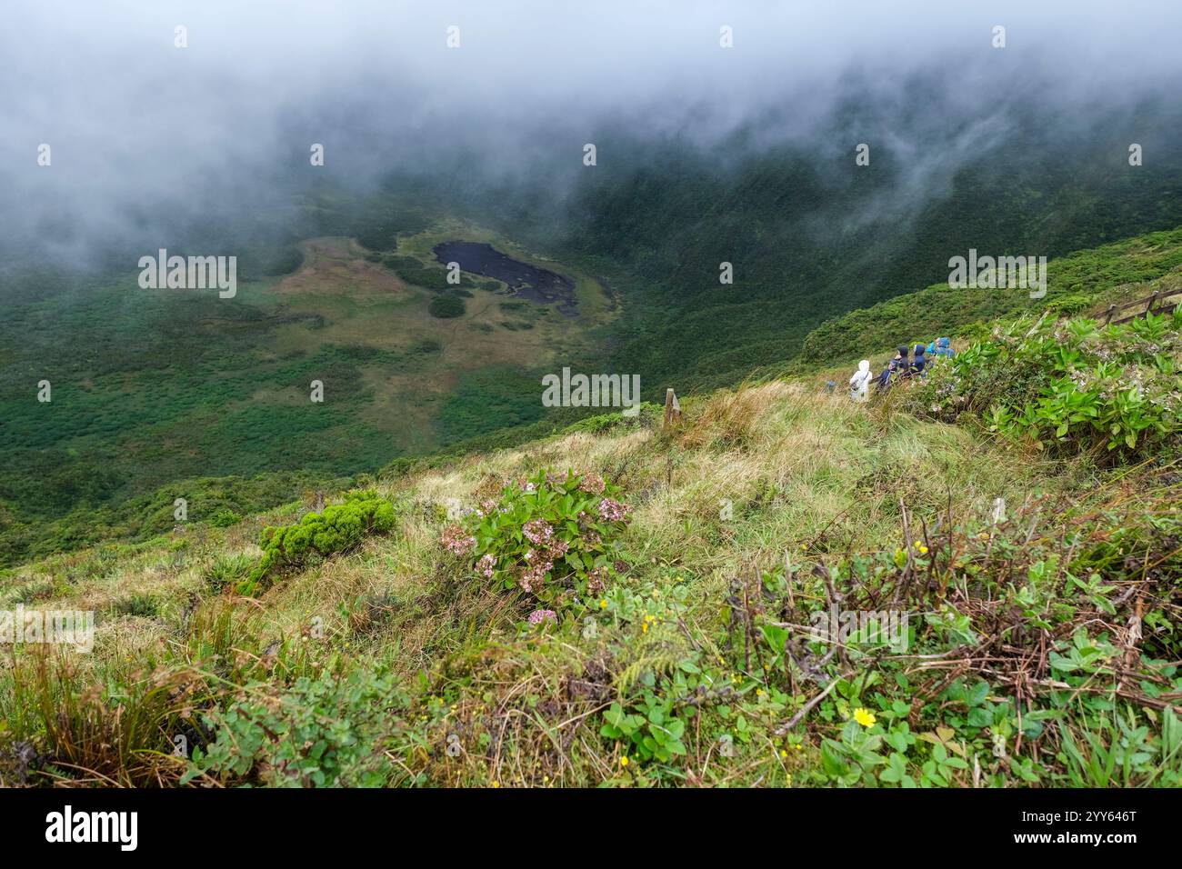 Horta, Portugal. 25th Sep, 2024. The crater in the Caldeira do Faial ...