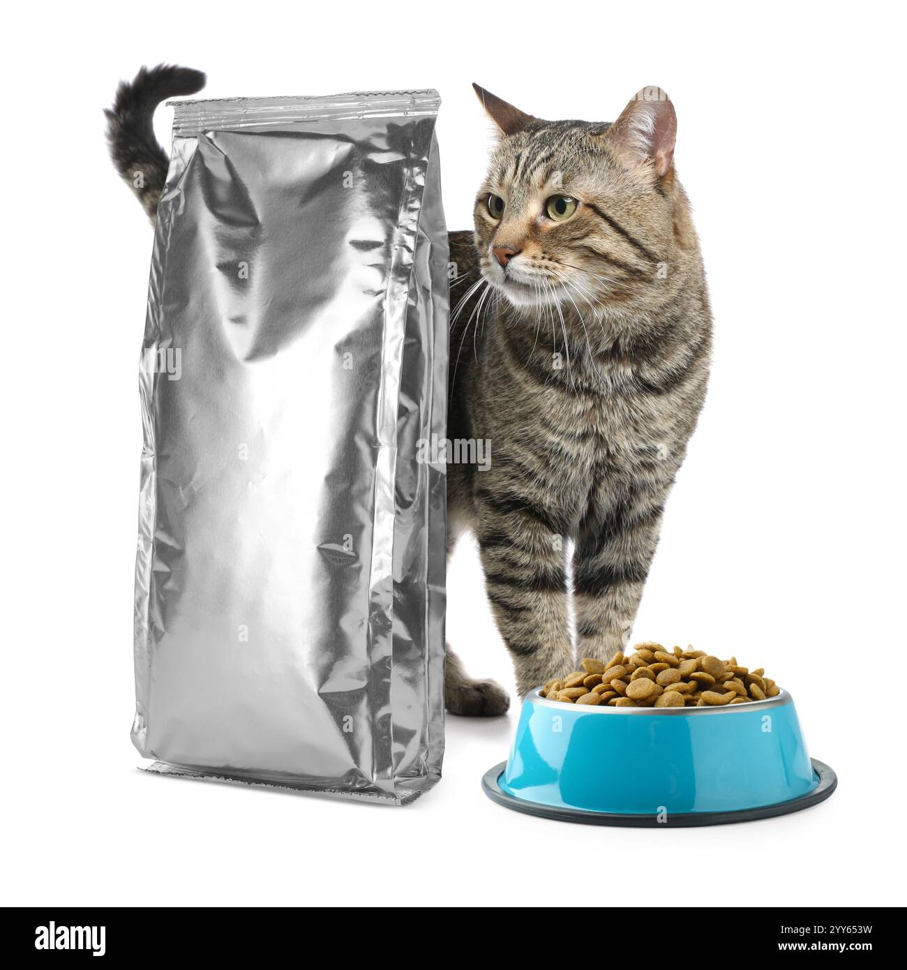 Cute cat, foil package and bowl of dry pet food on white background ...
