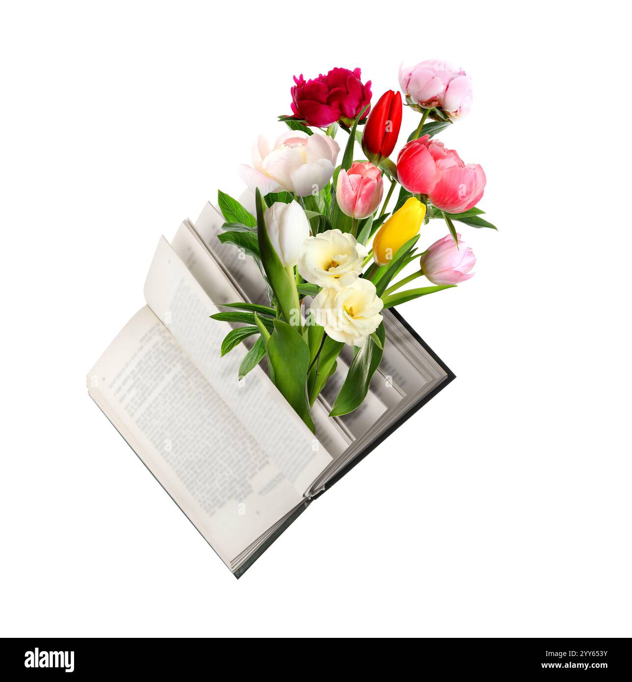Open book with beautiful flowers between pages on white background ...