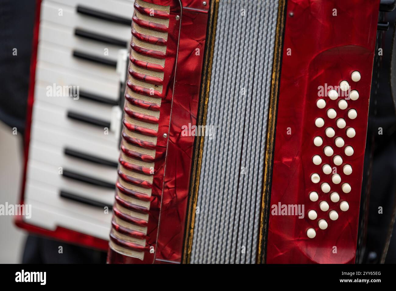 The old rare red accordion hanging on back of an accordion musician. Buttons and keyboard close ...
